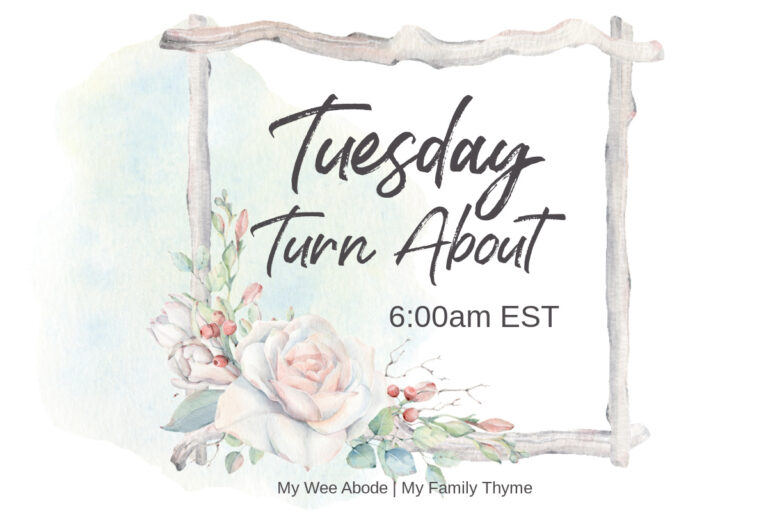 Tuesday Turn About #237 Hearts Galore! - My Family Thyme